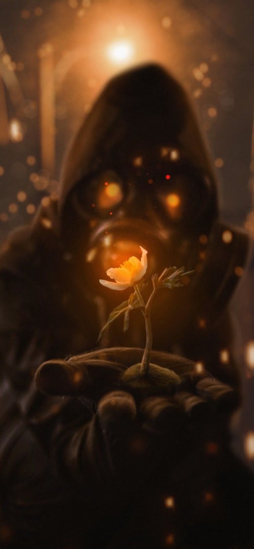 Salt Life Wallpaper For Iphone 56 Wallpapers Hd Wallpapers - Ocean And ...