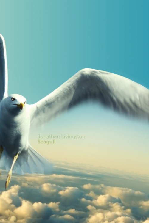 Jonathan Livingston Seagull Screen (#3292044) - HD Wallpaper ...