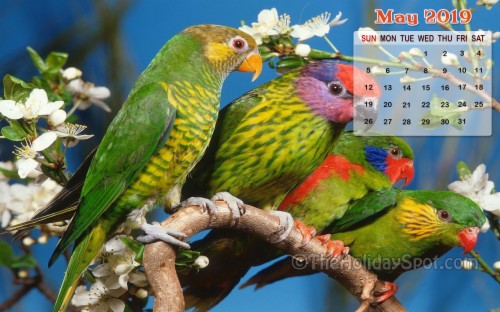 May 2019 Calendar Wallpaper - Beautiful Wild Animals Hd (#369238) - HD ...