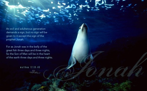 Crosscards Wallpaper (#415737) - HD Wallpaper & Backgrounds Download