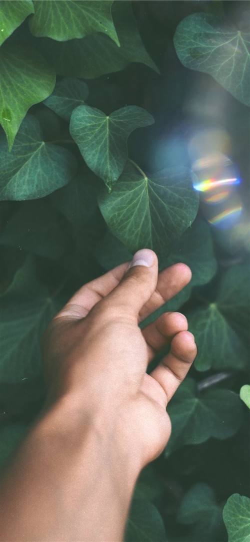 Goodbye Wallpaper (#425987) - HD Wallpaper & Backgrounds Download