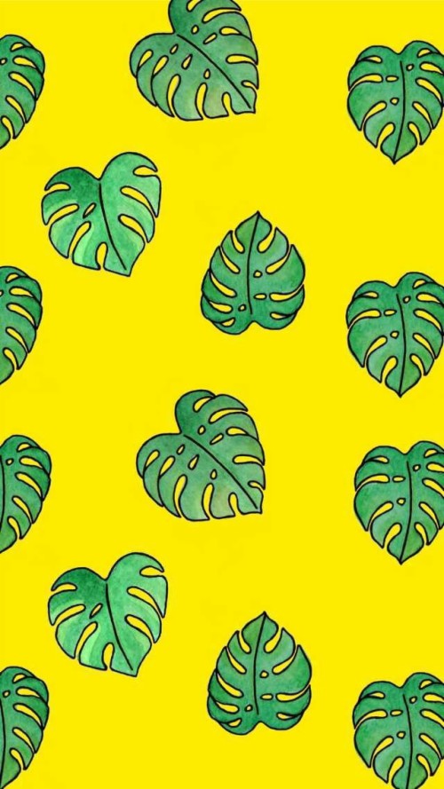 Snapchat Flower Desktop, Snapchat, Logo, Computer Wallpaper ...