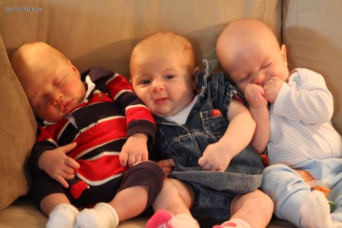 3 Baby Images Hd (#458716) - HD Wallpaper & Backgrounds Download