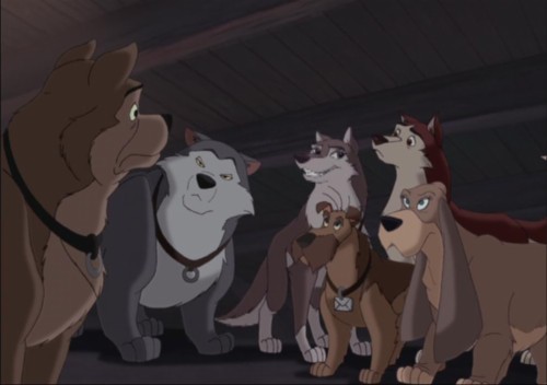 Kodi From Balto Images Kodi Hd Wallpaper And Background - Cartoon ...