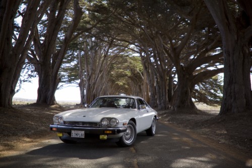 Rhett's 1988 Jaguar Xj-s Coupé In Glacier White - Jaguar Xjs (#467743 ...