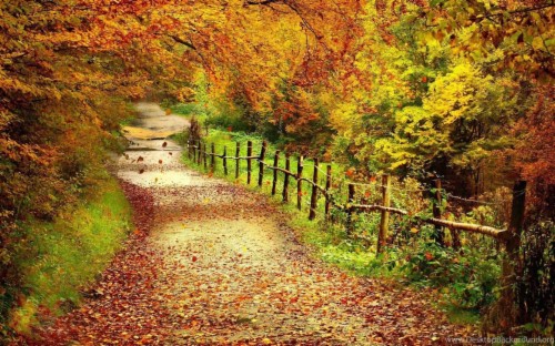 Fall Wallpapers Widescreen - High Definition Fall Hd (#127873) - HD ...