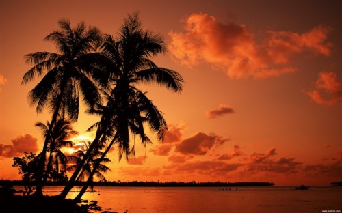 Tropical Beach Sunset - Tropical Beach Sunset Background (#481877) - HD ...
