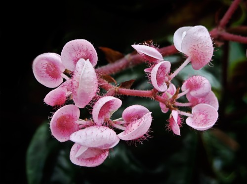 Kalaignar Karunanidhi Rare Hd Photos & Wallpapers - Kalaignar Hd ...