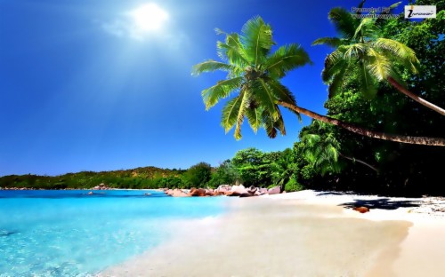 Tropical Wallpaper - Windows 10 Beach Background (#142801) - HD ...