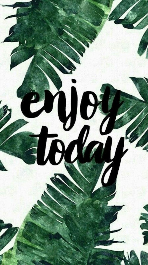 Tall Palm Trees ~ Screen - Palm Tree (#119267) - HD Wallpaper ...