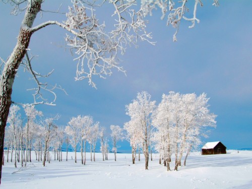 Free Winter Wallpaper - Simple Winter Wallpaper Desktop (#1903217) - HD ...
