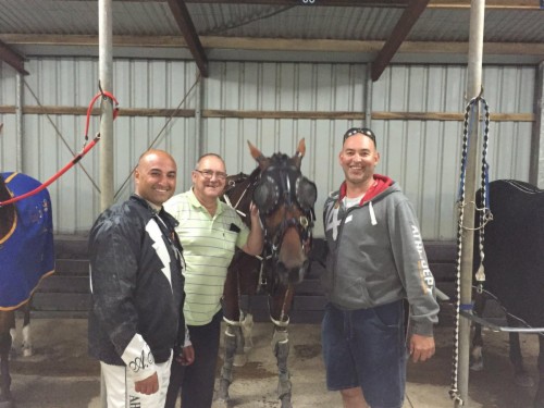 Geelong Harness Rc - Stallion (#592971) - HD Wallpaper & Backgrounds ...