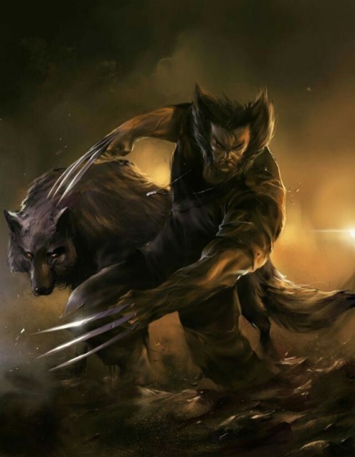 Wolverine High Resolution Wallpapers For Pc & Mac, - Wolverine Weapon X ...