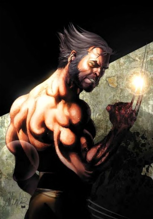 Wolverine High Resolution Wallpapers For Pc & Mac, - Wolverine Weapon X ...
