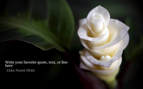 #zayed - Zaid Name (#944967) - HD Wallpaper & Backgrounds Download