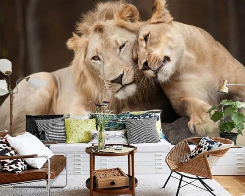 Aliexpress - Lg (#1282041) - HD Wallpaper & Backgrounds Download