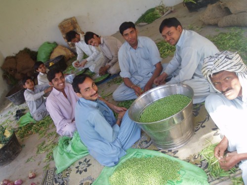 Ramapir Wallpaper - Mari City In Pakistan (#655511) - HD Wallpaper ...