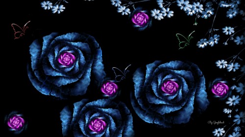 Blue Rose Hd Wallpaper - Lock Screen Cute Black (#658215) - HD ...