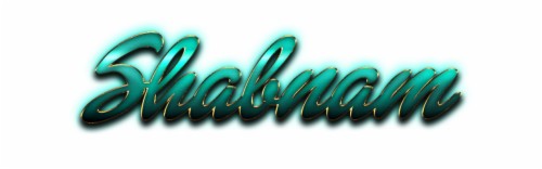 Shabnam Name Logo Png - Shabnam Name (#685193) - HD Wallpaper ...