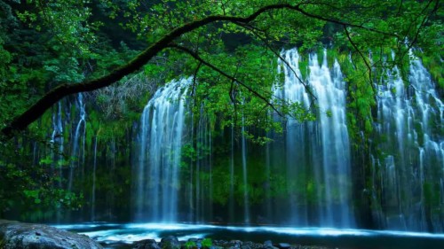 Beautiful Animated Wallpaper Hd - Beautiful Animation Wallpaper Hd ...