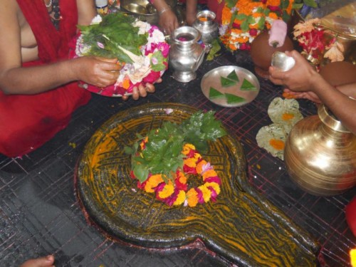 List of Free Zeba Name Wallpapers Download - Itl.cat