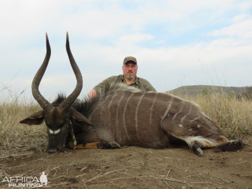 Nyala - Bongo (#746008) - HD Wallpaper & Backgrounds Download