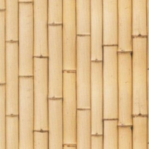 Pavoreal235 - Motif (#1852218) - HD Wallpaper & Backgrounds Download