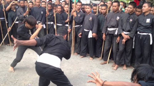 Wallpaper Psht - Psht (#747473) - HD Wallpaper & Backgrounds Download