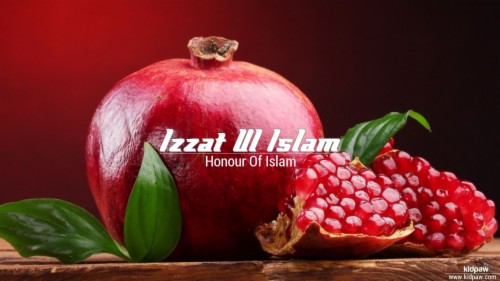 Sultan Name Wallpaper - Sultan & Shepard (#572297) - HD Wallpaper ...