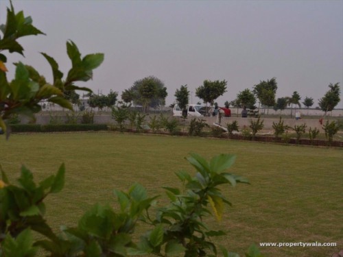 Side View - Plantation (#784432) - HD Wallpaper & Backgrounds Download