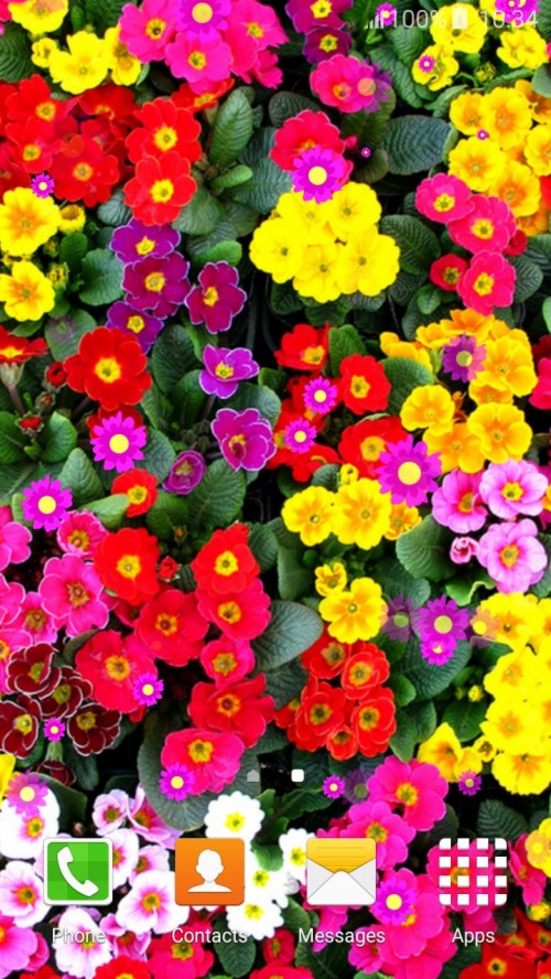 Primrose (#657055) - HD Wallpaper & Backgrounds Download