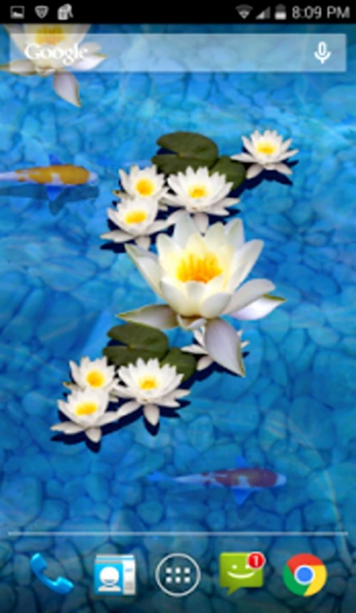 Fish Pond Live Wallpaper - Full Hd Koi Fish Iphone (#3125766) - HD ...