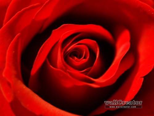 Preview Of ' Grid Style' For Name - Harshu Name Pic New (#810890) - HD ...