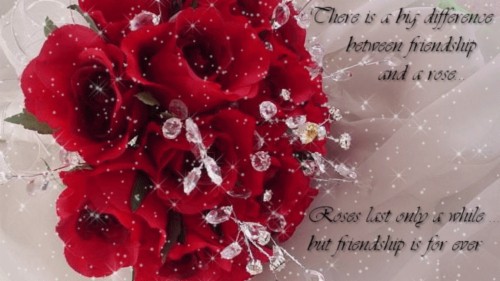 Roses With Friendship Quotes (#816475) - HD Wallpaper & Backgrounds ...