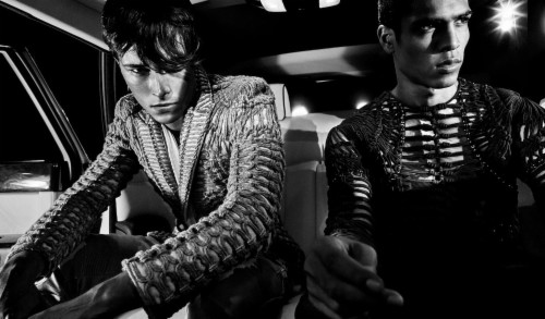 Dazed-balmain - Horse (#823486) - HD Wallpaper & Backgrounds Download