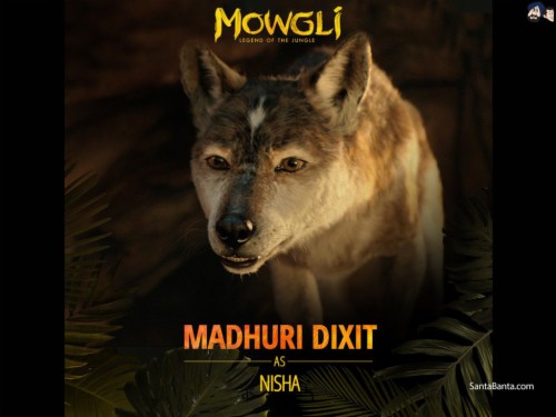 Mowgli, Rohan Chand, Movie, 2018, Wallpaper - Mowgli Legend Of The ...