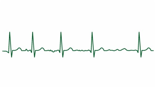 Targeted Screening - Plot (#881321) - HD Wallpaper & Backgrounds Download