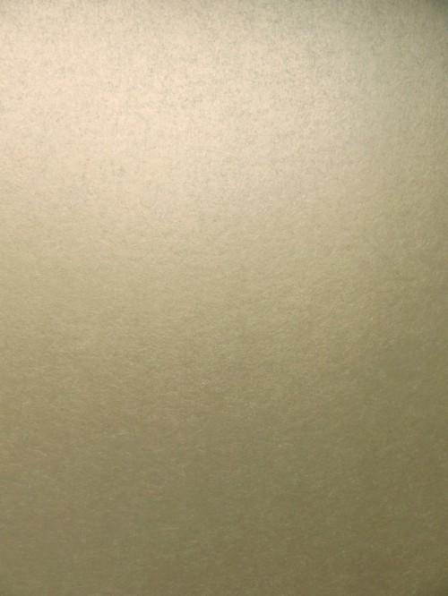 Ivory (#2398659) - HD Wallpaper & Backgrounds Download