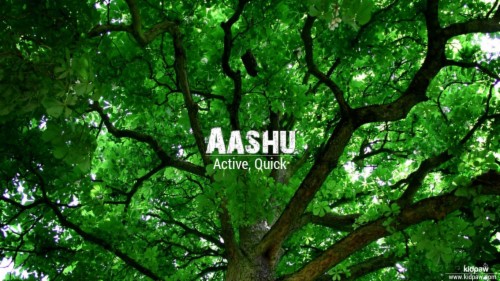 Ashu Name Wallpaper - Aashu Name Meaning In Hindi (#916764) - HD ...