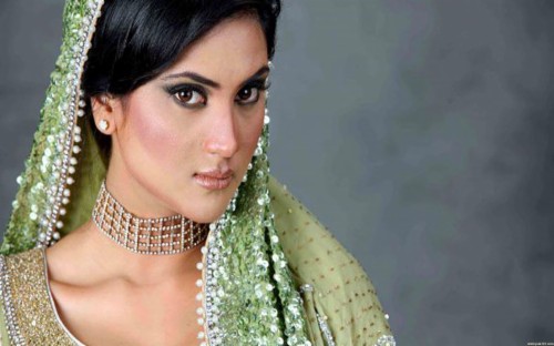 Fiza Wallpapers - African Daisy (#2221680) - HD Wallpaper & Backgrounds ...