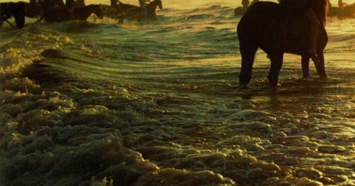 Foals Album Holy Fire (#943112) - HD Wallpaper & Backgrounds Download