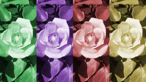 So Many Colors - Space Desktop Backgrounds 4k (#33908) - HD Wallpaper ...