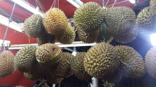 Durian Hd (#946747) - HD Wallpaper & Backgrounds Download