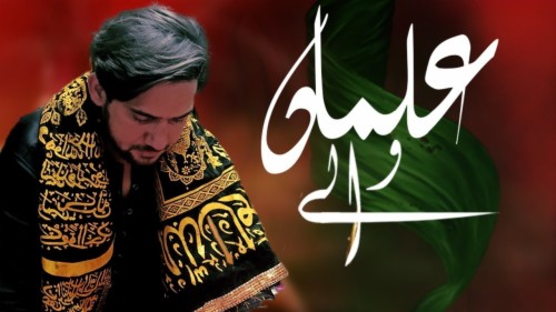 Farhan Ali Waris Wife Picture The Galleries Of Hd Wallpaper - Farhan ...