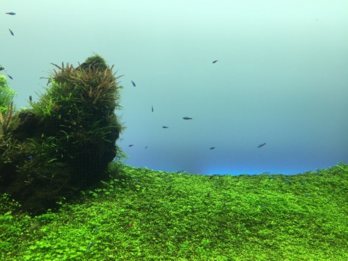 Install A Specific Version Of Docker On Centos 7 Using - Centos 7 ...