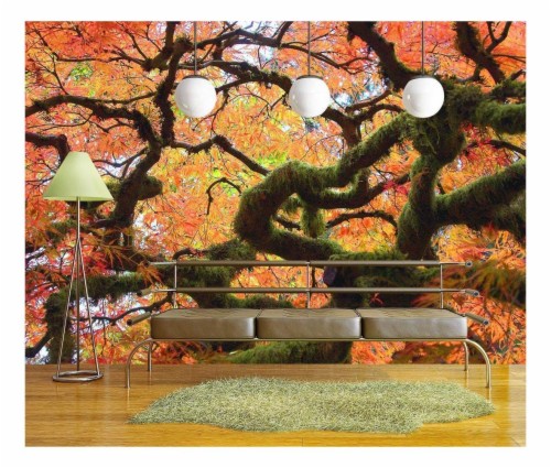 Gnarly Japanese Maple Tree - Japanese Gnarly Tree (#969440) - HD ...