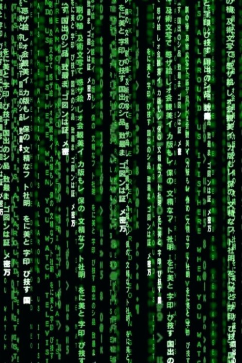 Photo Wall Live Wallpaper - Matrix Code (#969694) - HD Wallpaper ...