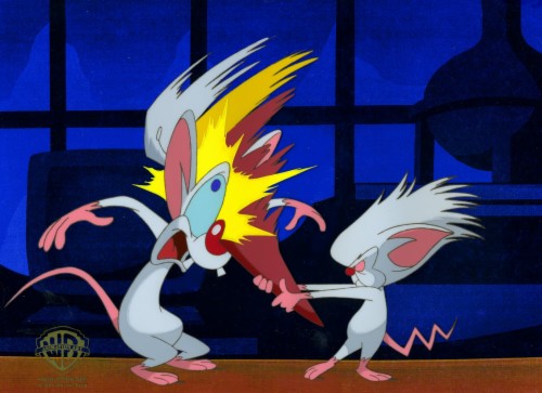 Pinky And The Brain Wallpaper Hd - Pinky And Brain Angry (#972583) - HD ...
