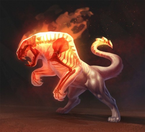 File Bda2c07f7b Original - Hellcat Animal (#982548) - HD Wallpaper ...