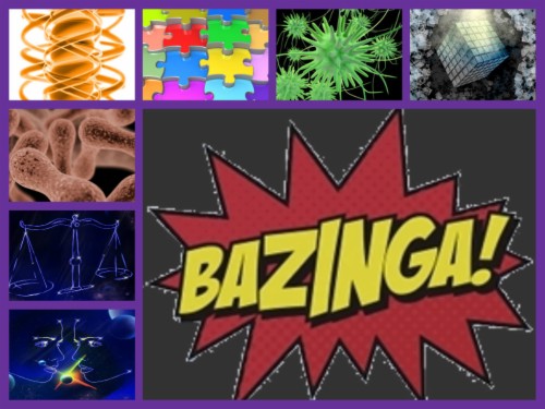List of Free Bazinga Wallpapers Download - Itl.cat